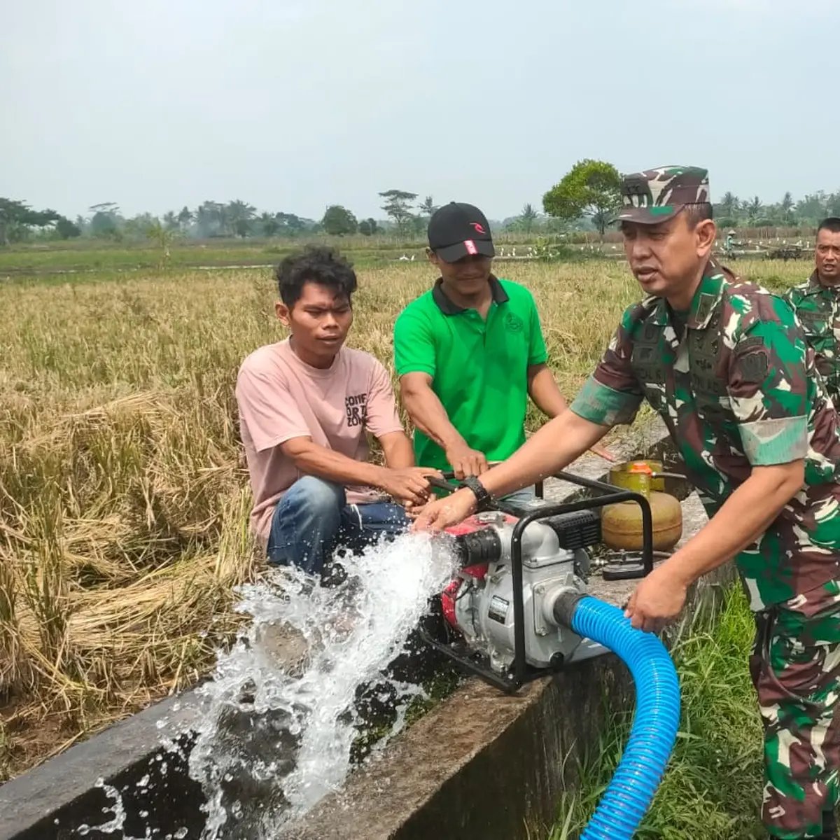 Kebijakan Swasembada Pangan dan Air Pemerintah Berada di Jalur Yang ...